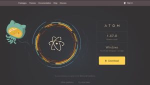 The 10 Best Atom Themes for a Unique Developer Experience - Developer Drive