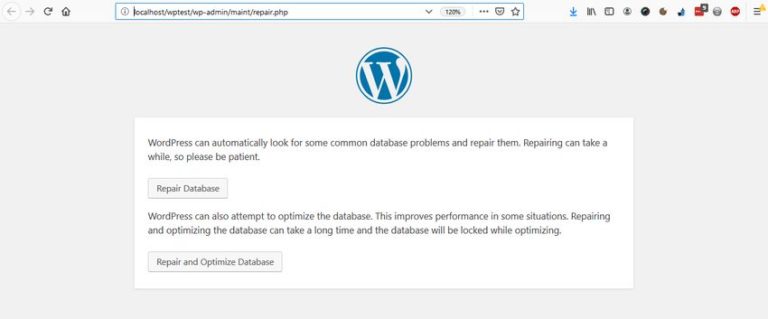 6 Best Practices To Optimize Your Wordpress Database Developer Drive
